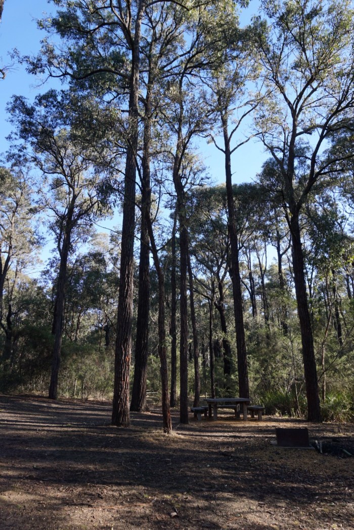 Ironbark Gorge and Currawong Falls | Michelle Walks