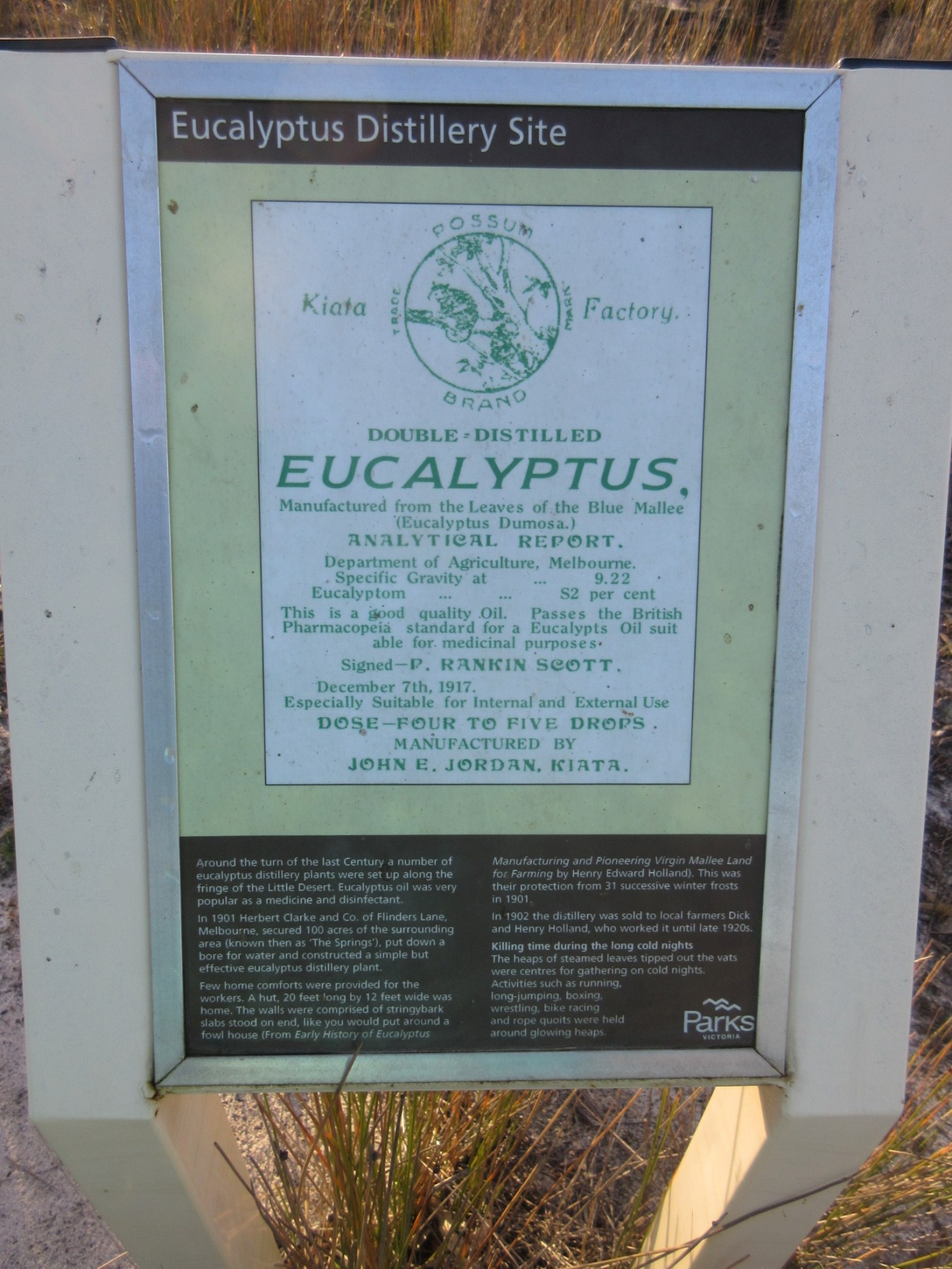 Kiata campground and Redgum walk | Michelle Walks