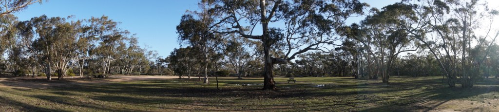 Kiata campground and Redgum walk | Michelle Walks